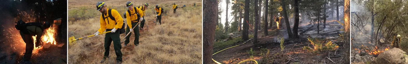 Volunteer Fire Assistance (VFA) Grant Application Period Opens April 1, 2021 | Fire Prevention ...